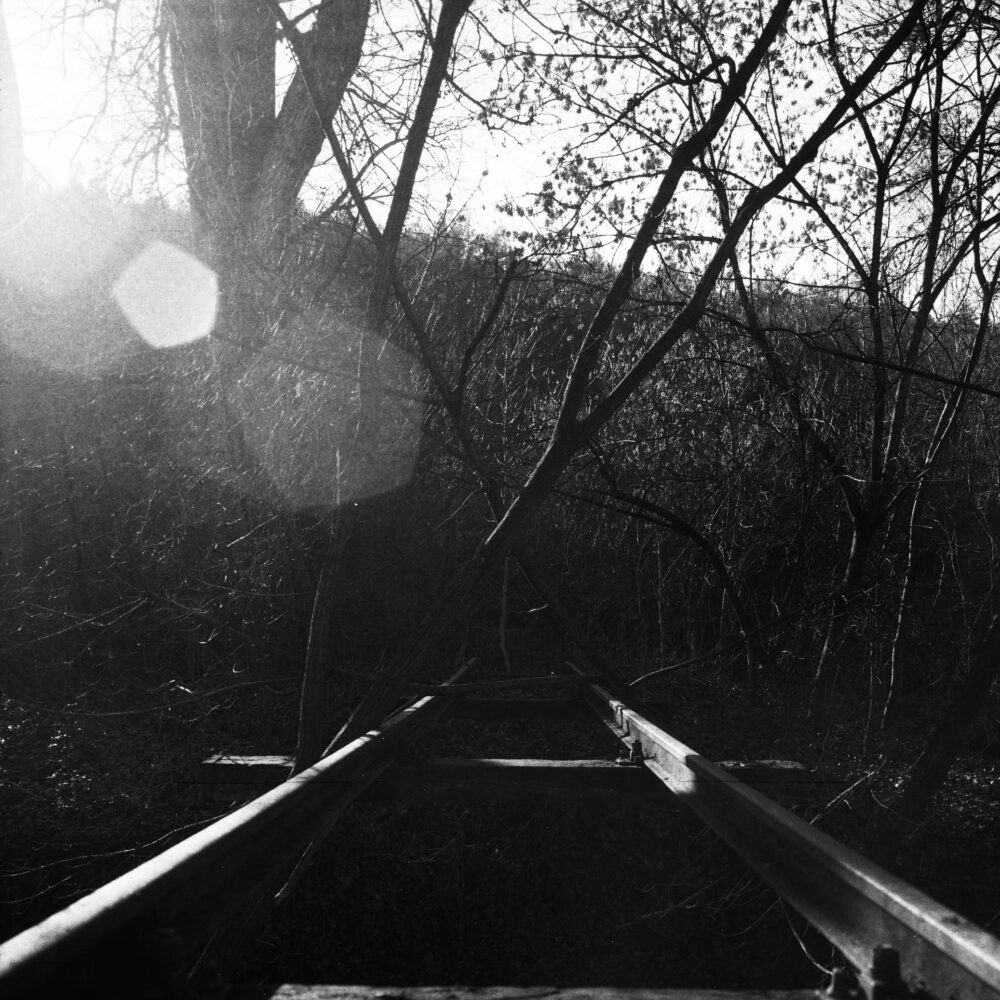 Film photography gallery | Dora Goodman Cameras