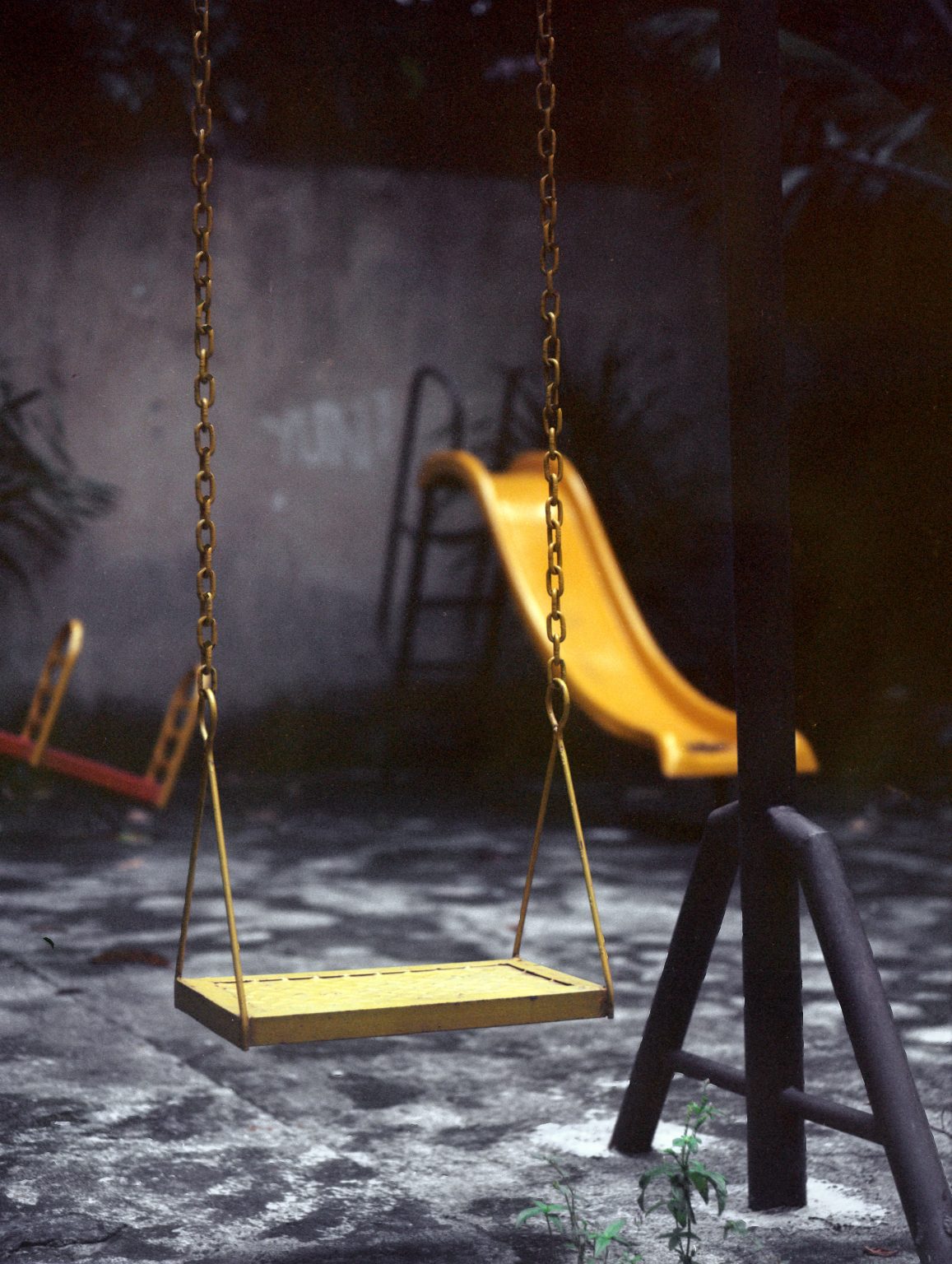 Film photography gallery | Dora Goodman Cameras