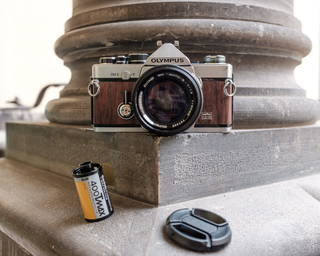 Wood veneer inlay cameras