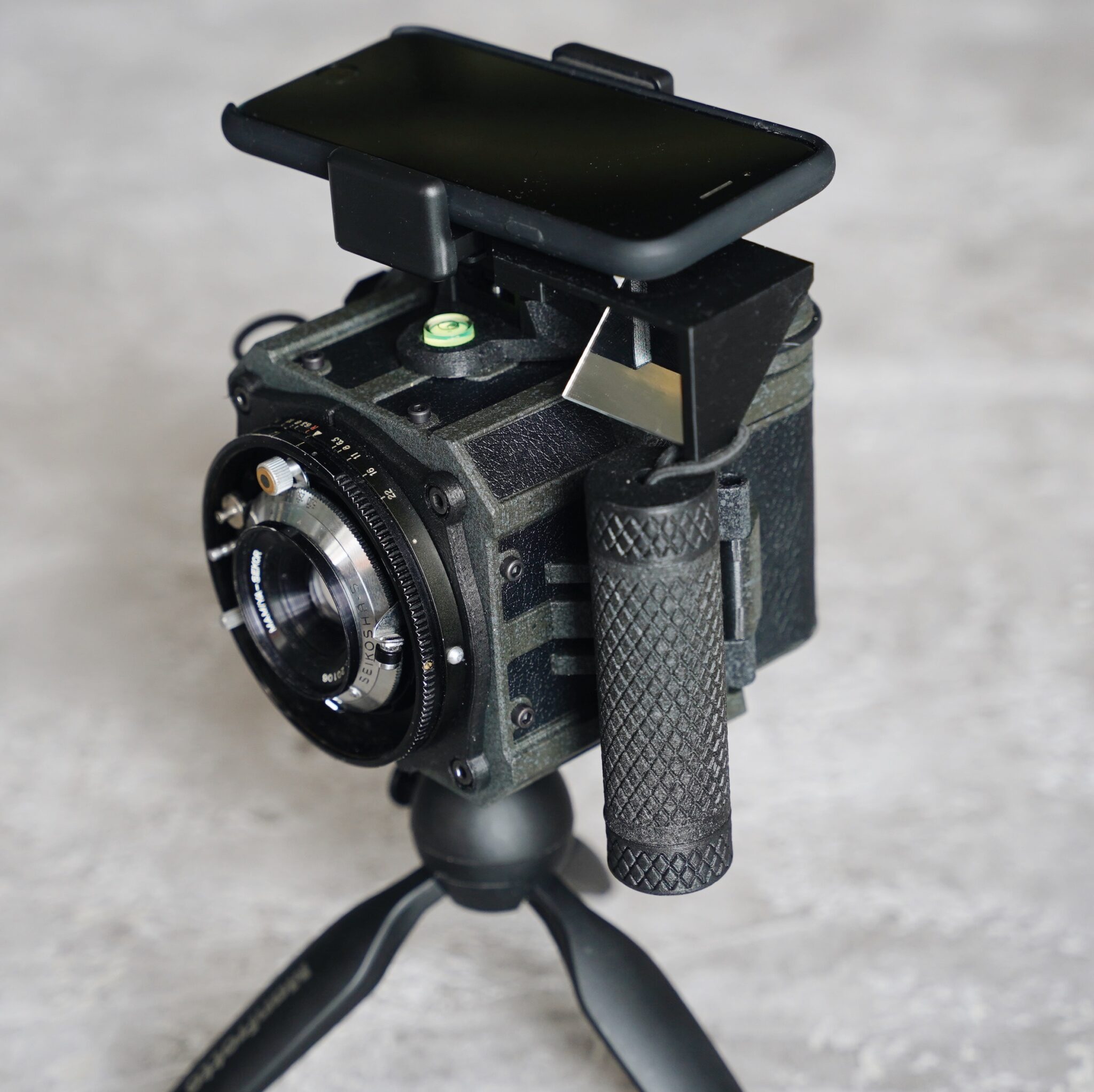 Goodman Zone - Bird Edition | Dora Goodman Cameras