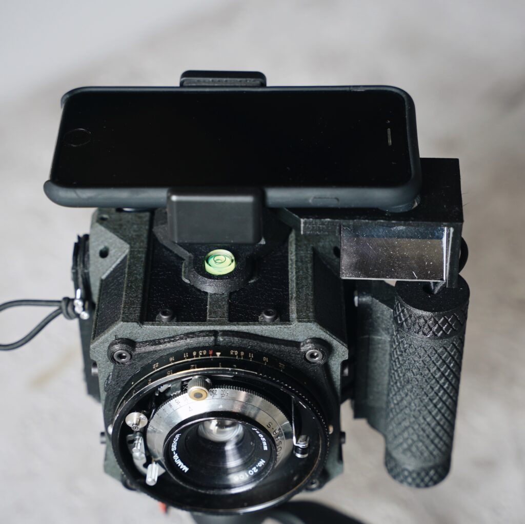 Goodman Zone - Bird Edition | Dora Goodman Cameras