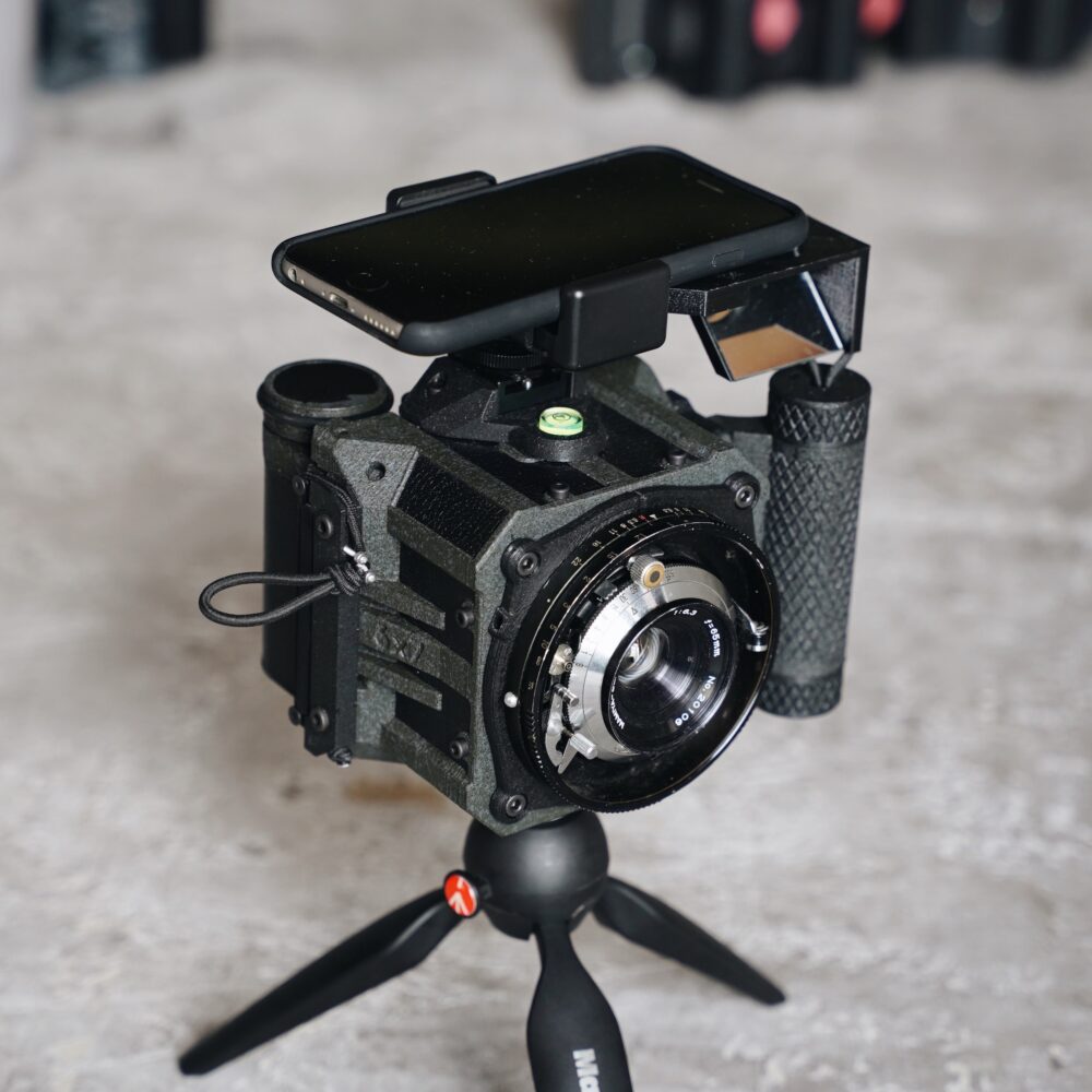 Goodman Zone - Bird Edition | Dora Goodman Cameras