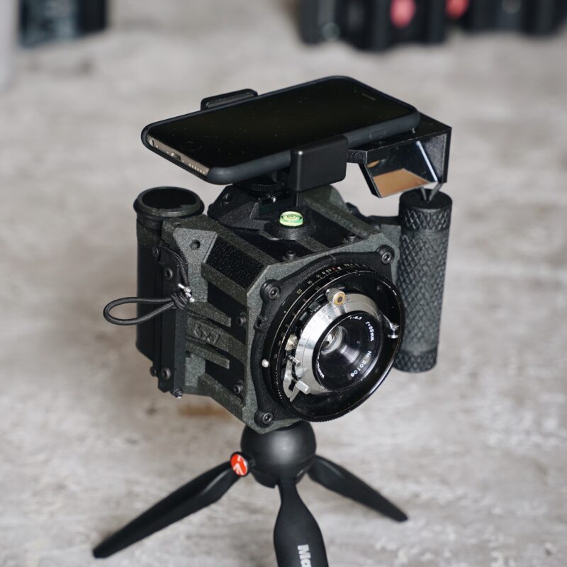 Goodman Zone - Bird Edition | Dora Goodman Cameras