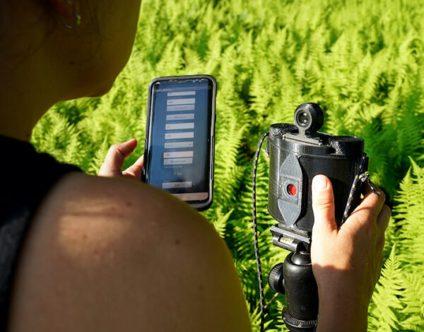 5 tips and trick for pinhole photography